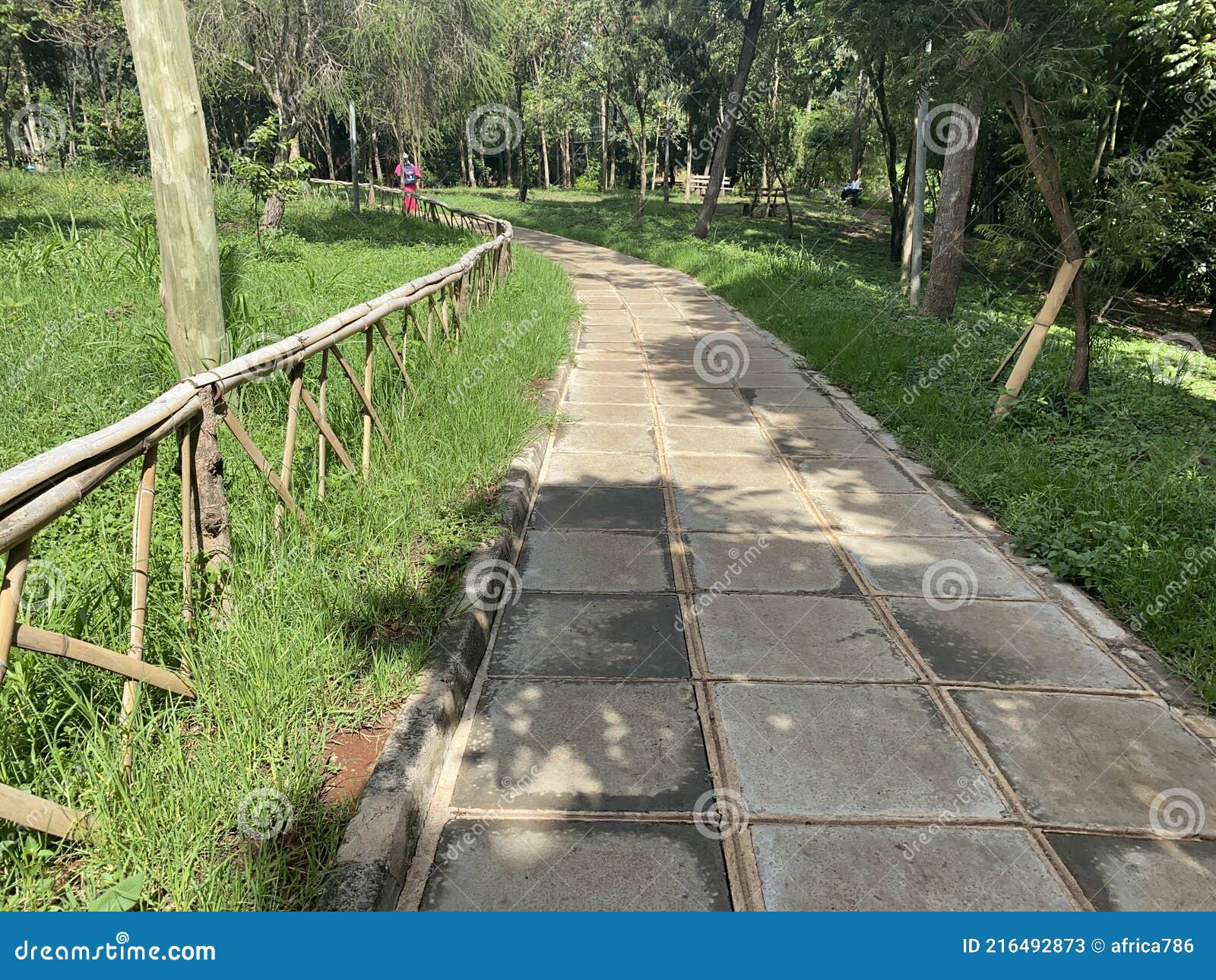 Paved Footpath in a National Park Stock Image - Image of park, bench ...