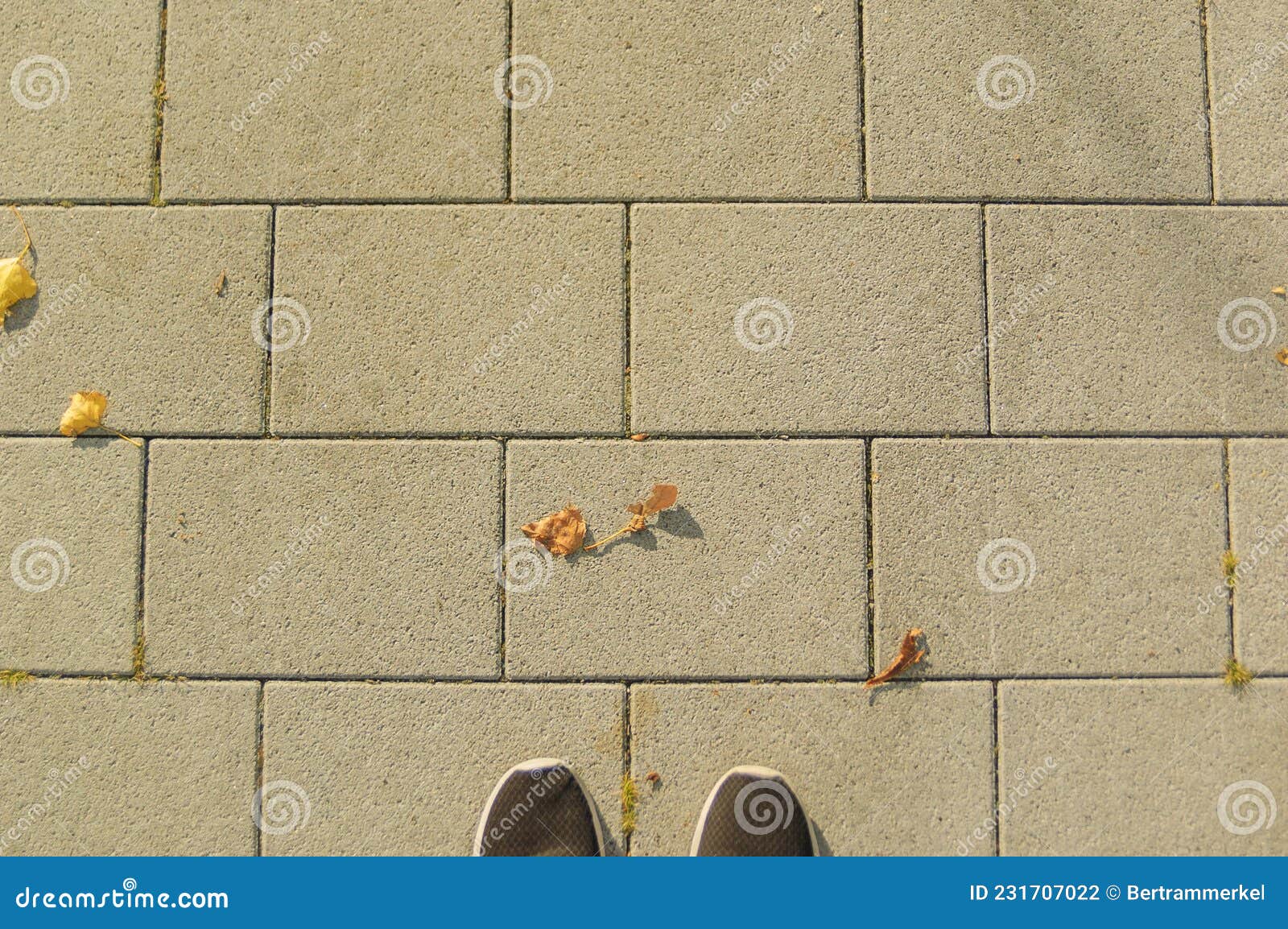Paved footpath with shoes stock photo. Image of concrete - 231707022