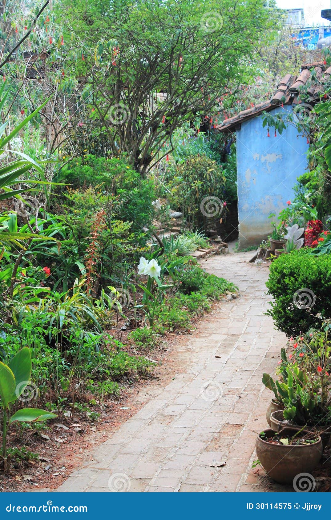 Garden Path in Rural Mexico Stock Image - Image of peaceful, pathway ...