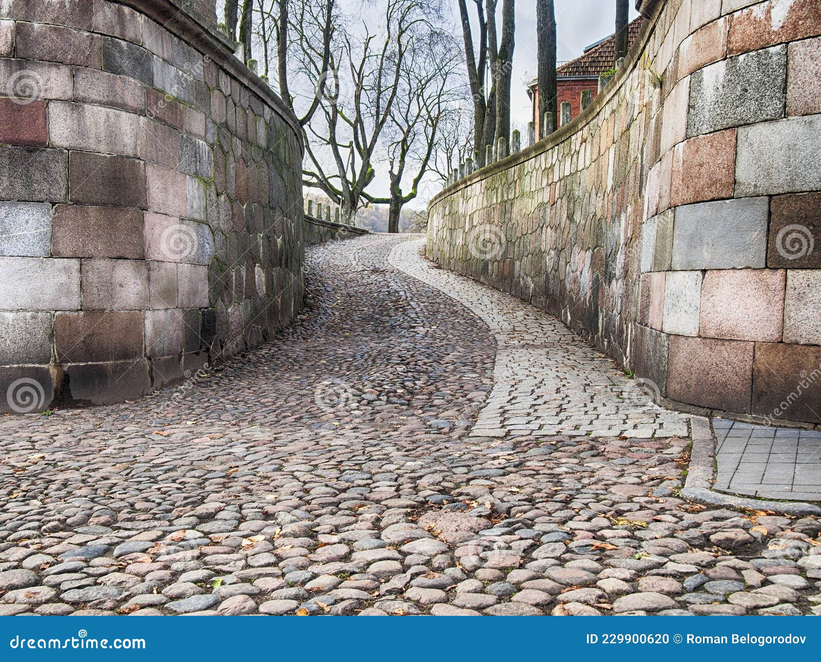Paved medieval road stock photo. Image of road, sidewalk - 229900620