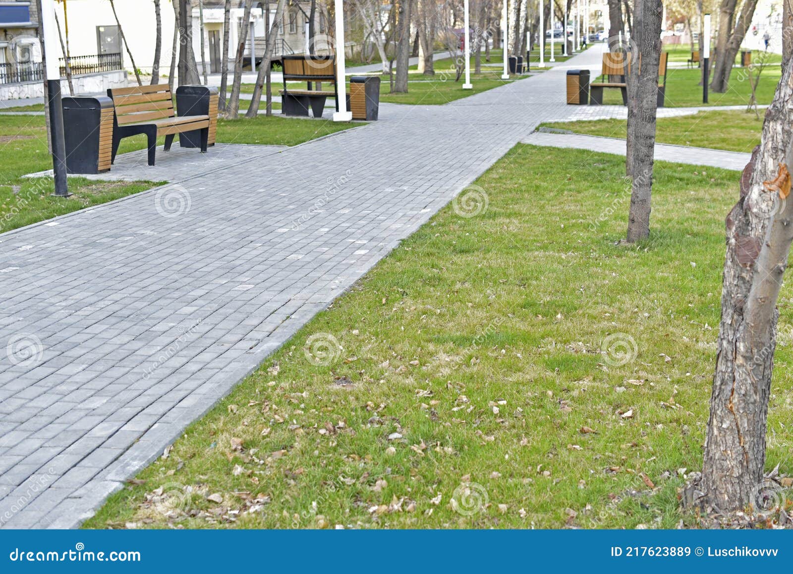 Paved Park Paths in the City Garden with Trees Stock Image - Image of ...