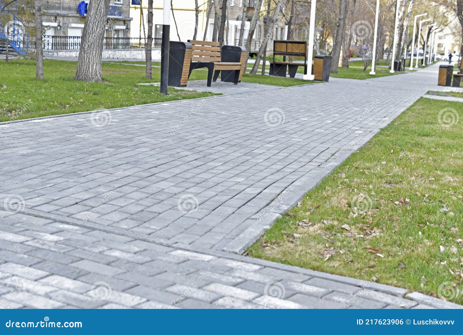 Paved Park Paths in the City Garden with Trees Stock Photo - Image of ...