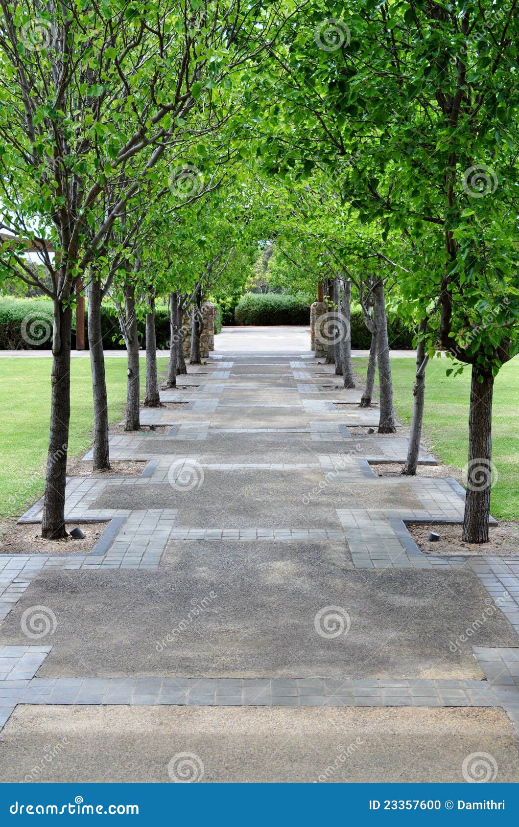 Paved path stock photo. Image of vegetation, green, grass - 23357600