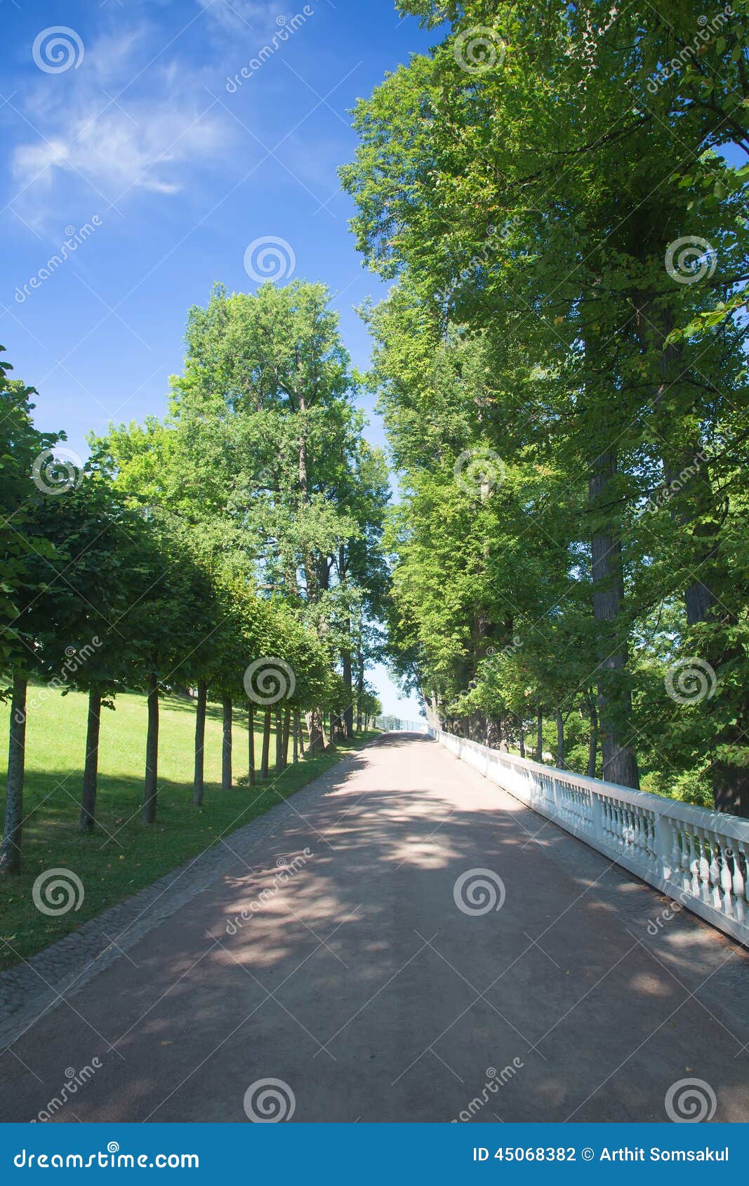 Paved Path Curving through the Park Stock Photo - Image of curve, paved ...