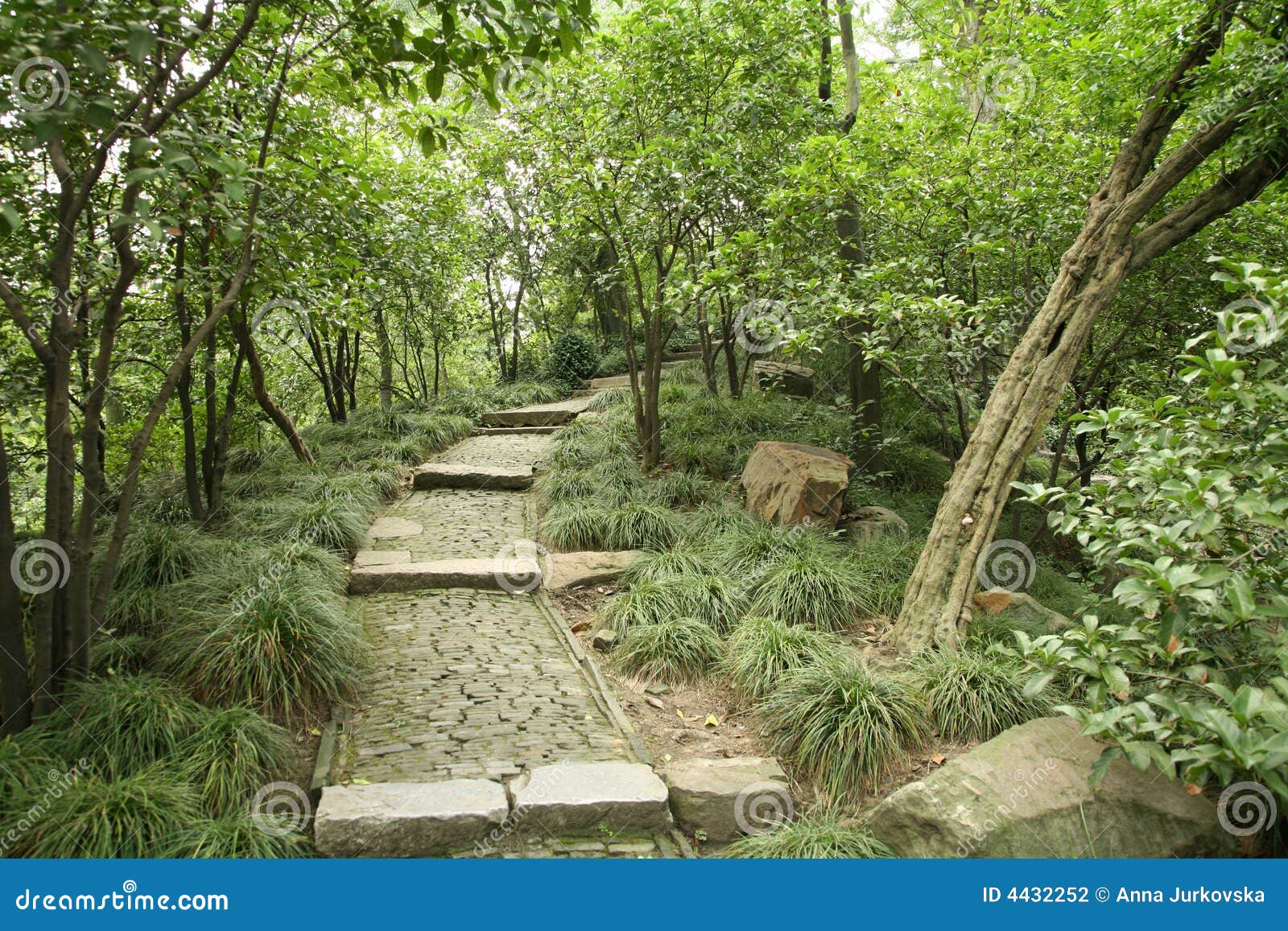 Paved path in park stock photo. Image of walk, forest - 4432252