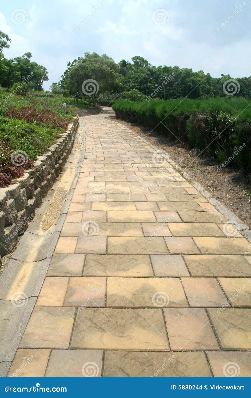 Paved path in a park stock photo. Image of relax, lush - 5880244