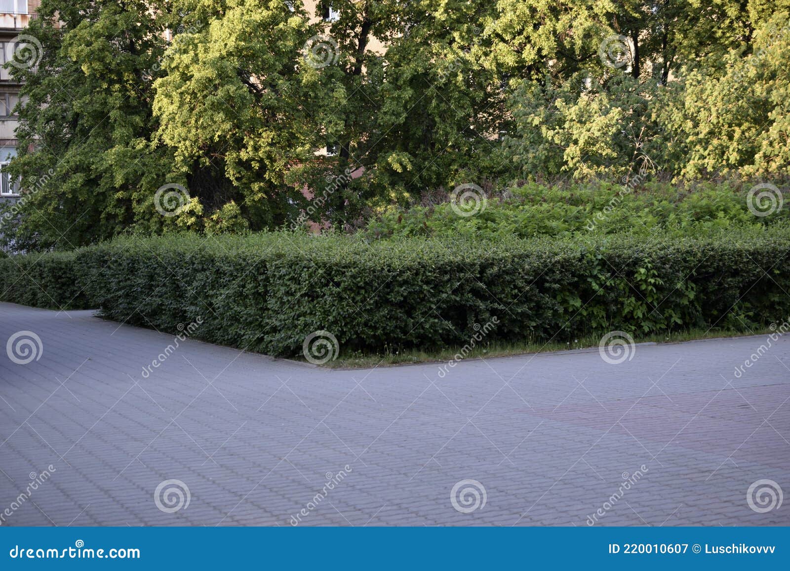 Paved Path and Recreation Park with Buildings Stock Image - Image of ...