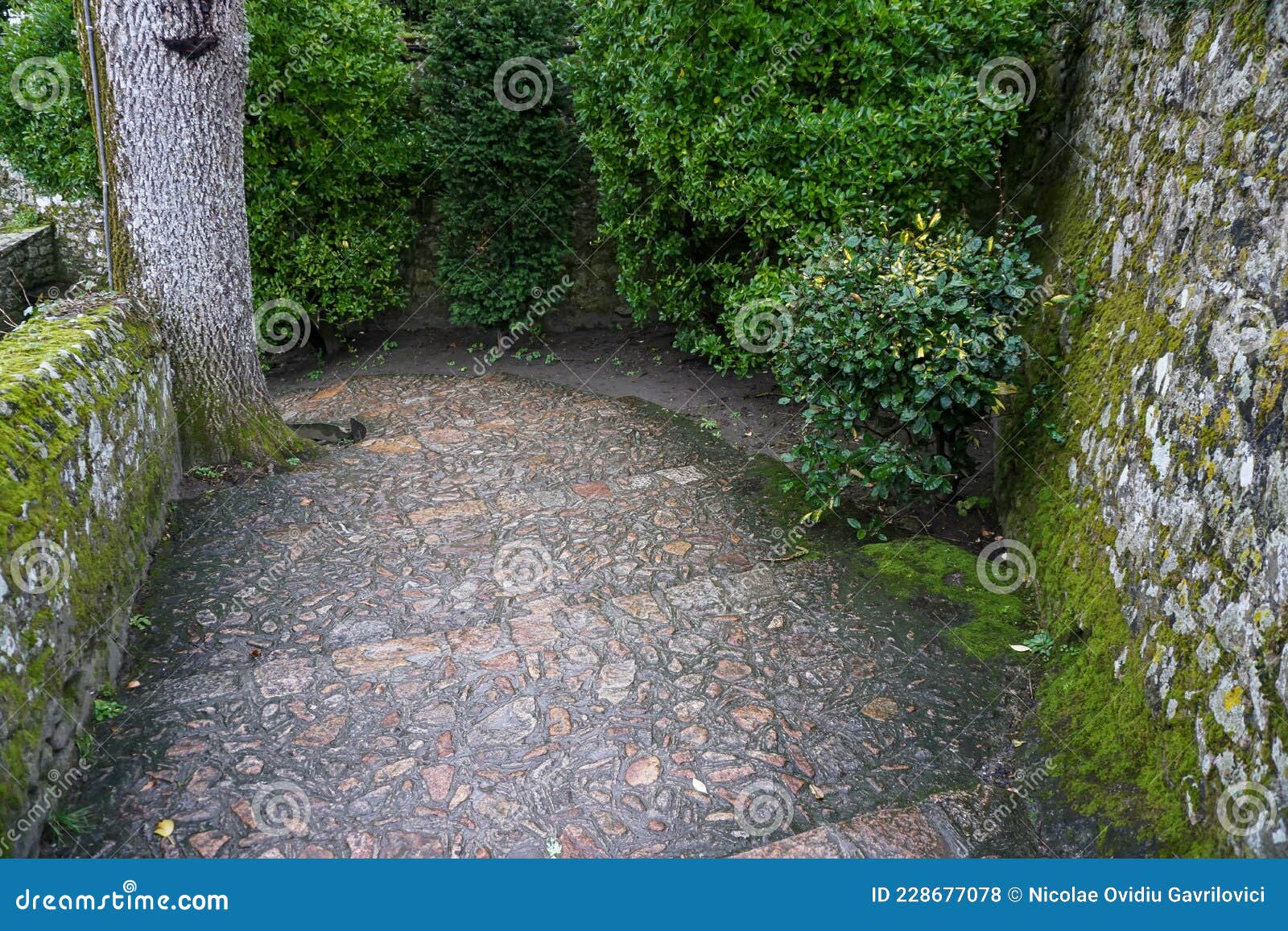 Path Paved with Stones from the River Stock Photo - Image of park ...