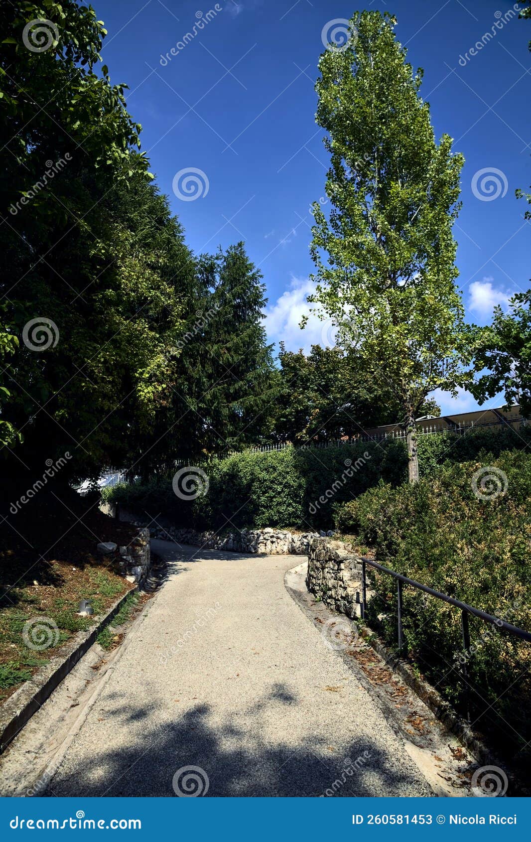 Paved Path with Trees at Its Edge Stock Image - Image of landscaping ...
