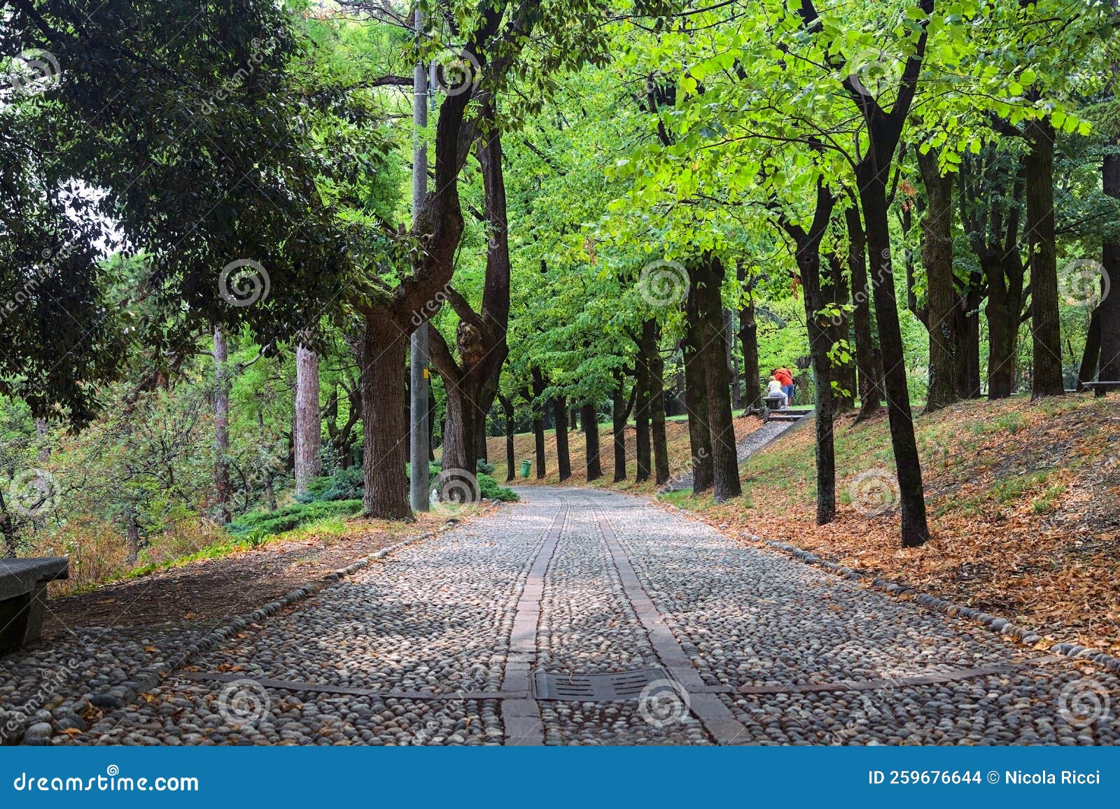 Paved Path Under a Tree Canopy Stock Photo - Image of house, hill ...