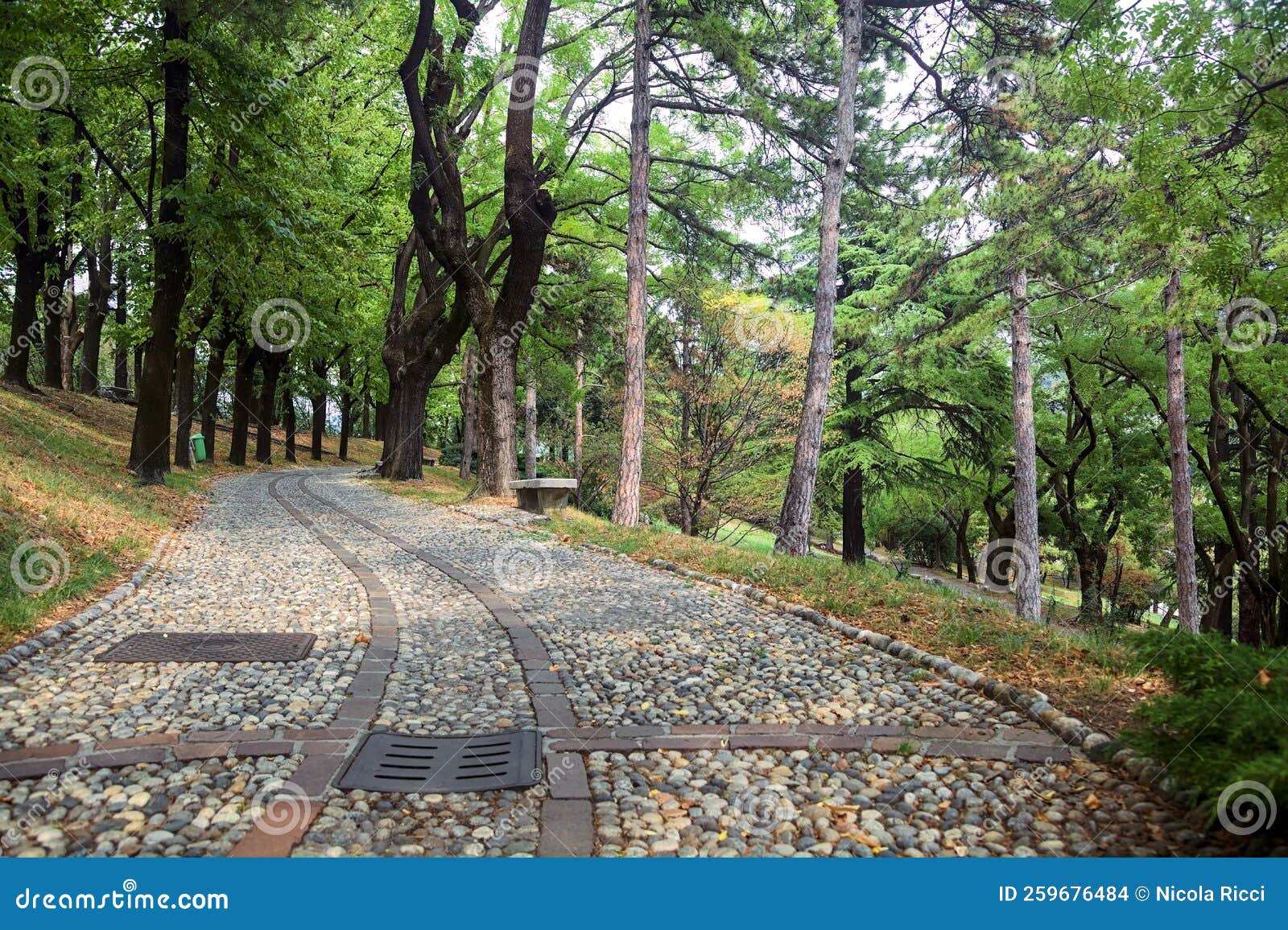 Paved Path Under the Tree Canopy of a Park with Stone Benches by Its ...