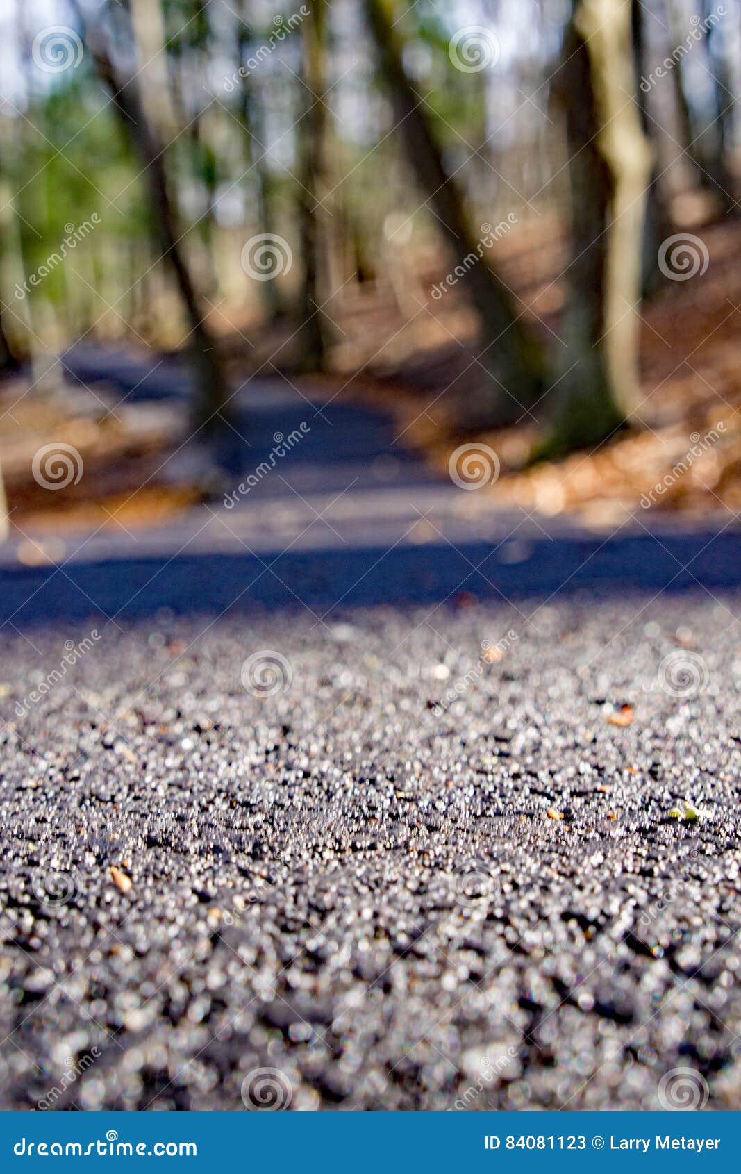 Paved Path in the Woods stock image. Image of curve, paved - 84081123