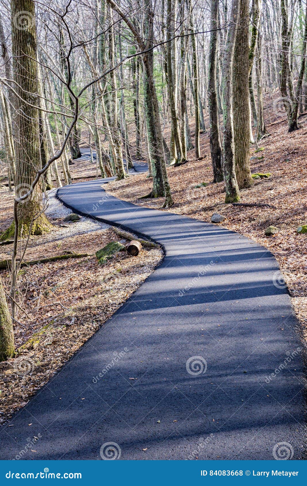 Paved Path in the Woods stock photo. Image of landscaping - 84083668
