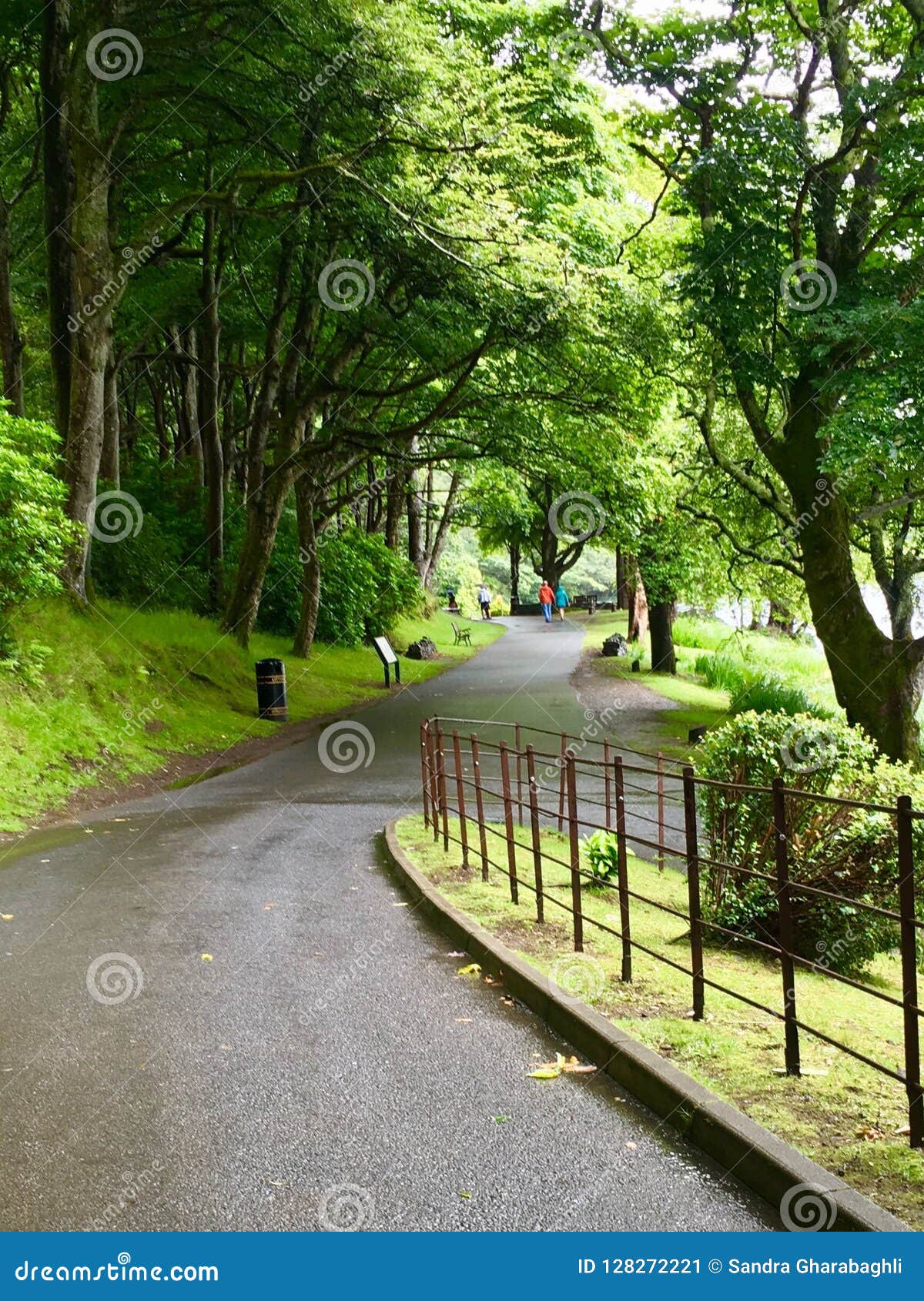 Paved Path through Woods stock image. Image of leads - 128272221