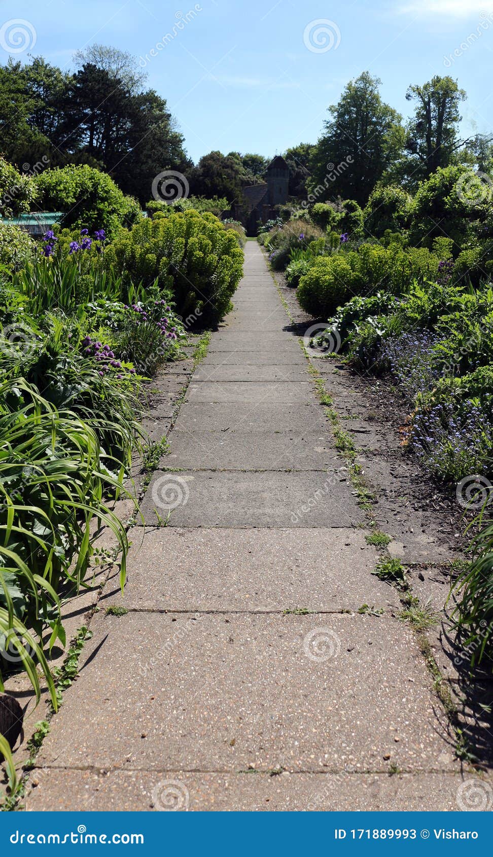 Paved Pathway through a Garden Stock Image - Image of straight, tourism ...