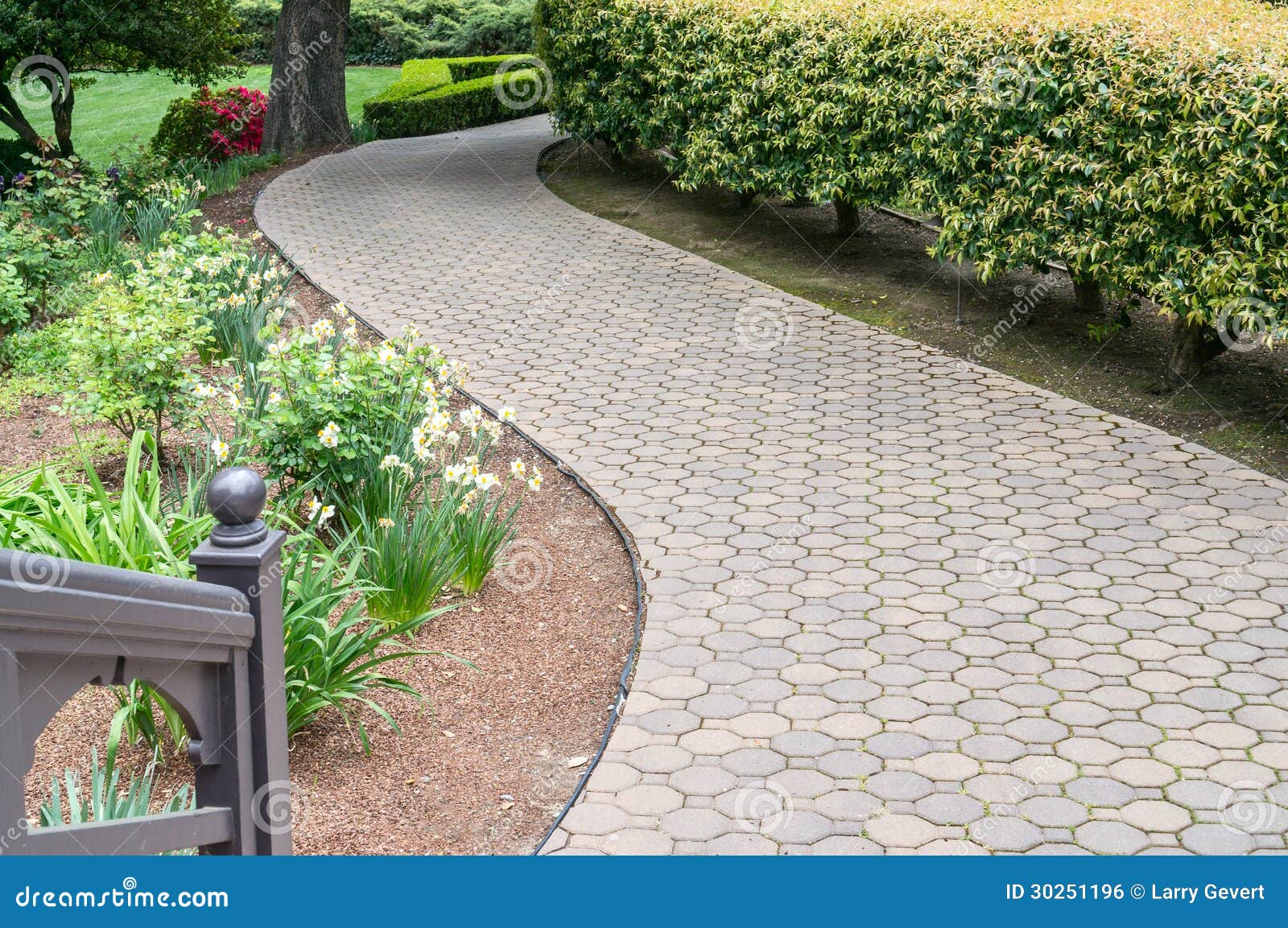 Inviting Pathway through a Garden Stock Photo - Image of formal ...