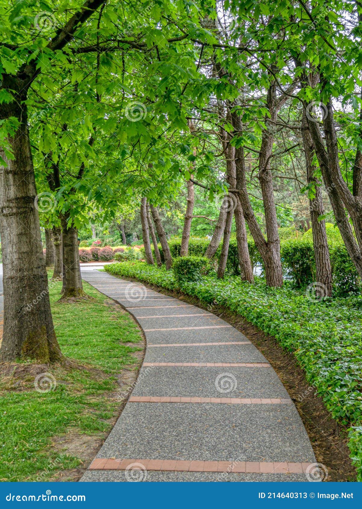 Paved Pathway in a Park through Residential Area in Vancouver, Canada ...