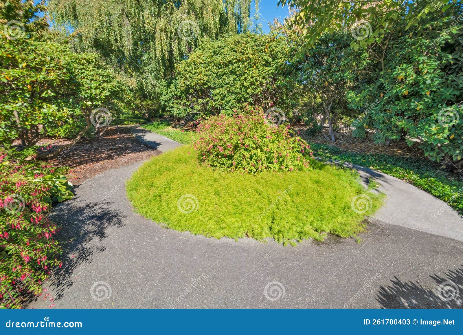 Paved Pathway through a Park with Round Flowerbed in the Middle Stock ...