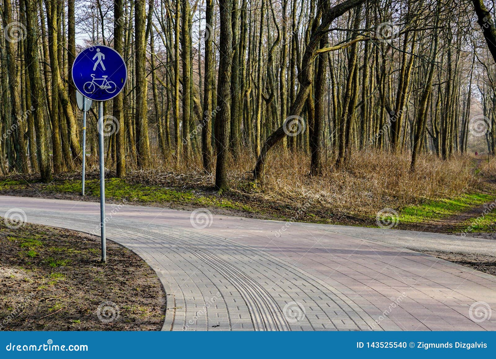 Paved Pedestrian and Cycling Path with Integrated Guidelines for People ...