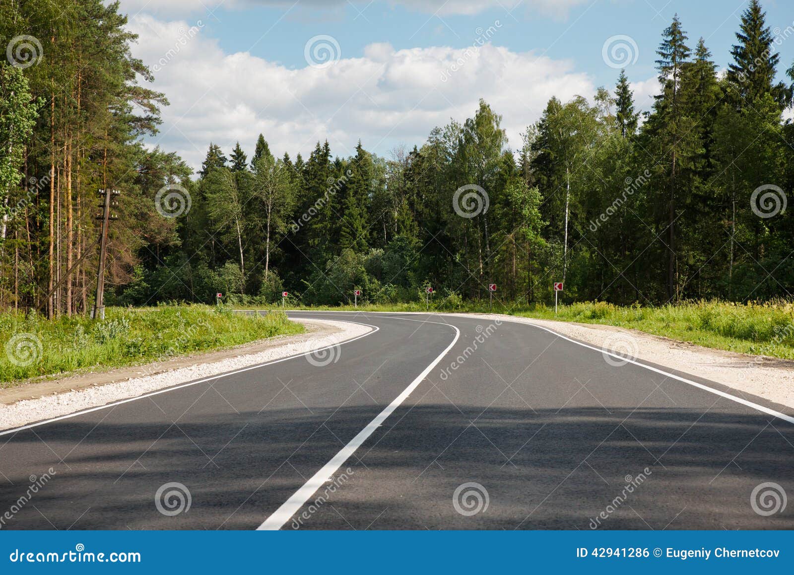 Paved Road through the Forest Stock Photo - Image of forest, park: 42941286