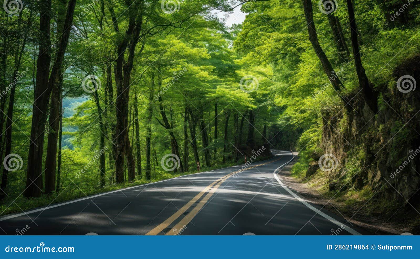 The Paved Road in the Forest Presents a Beautiful Natural Stock ...