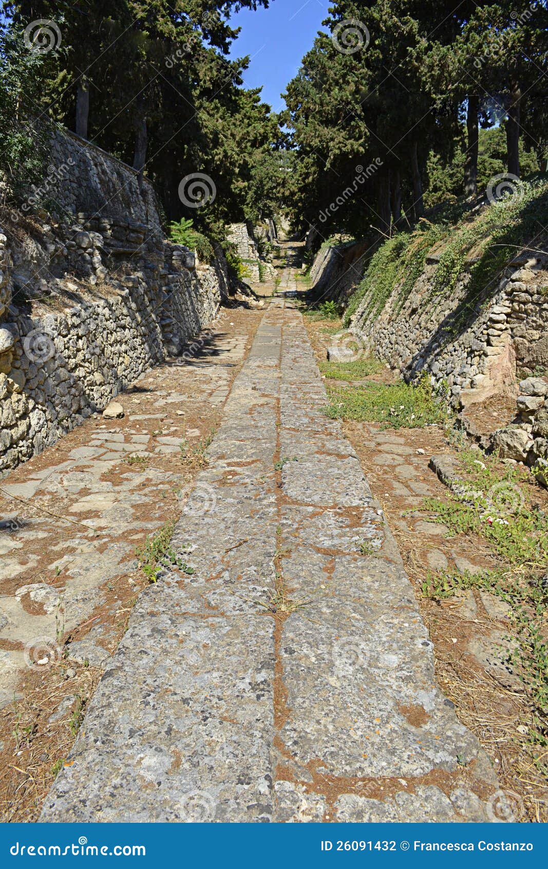 Paved Road Pattern Royalty-Free Stock Image | CartoonDealer.com #163599418