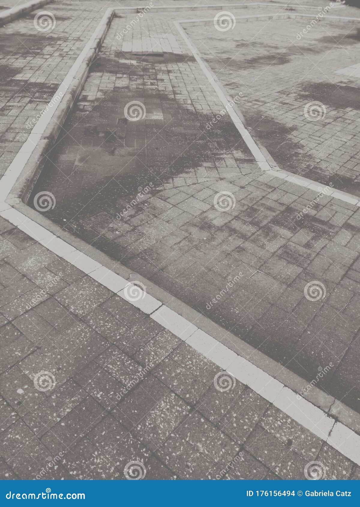 Paved road in monochrome stock photo. Image of paved - 176156494