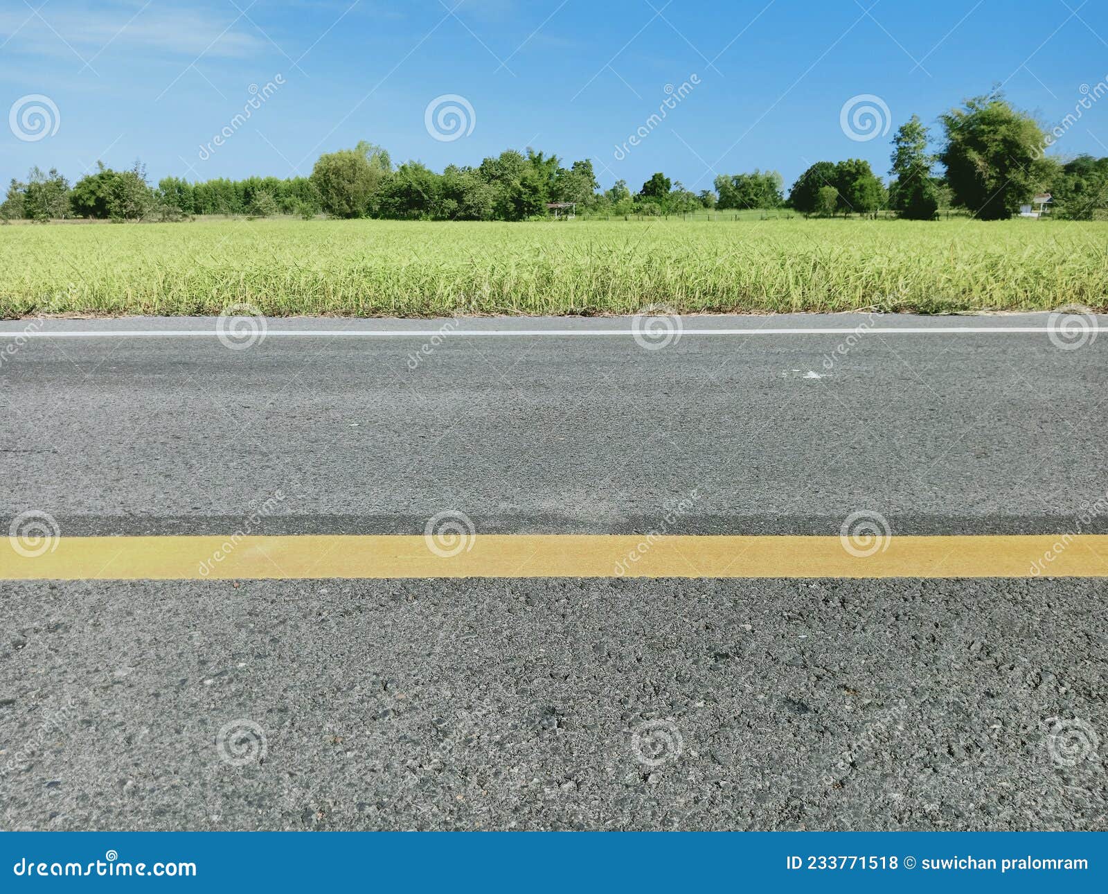 Paved Roads and Rice Fields Stock Photo - Image of cloud, blue: 233771518