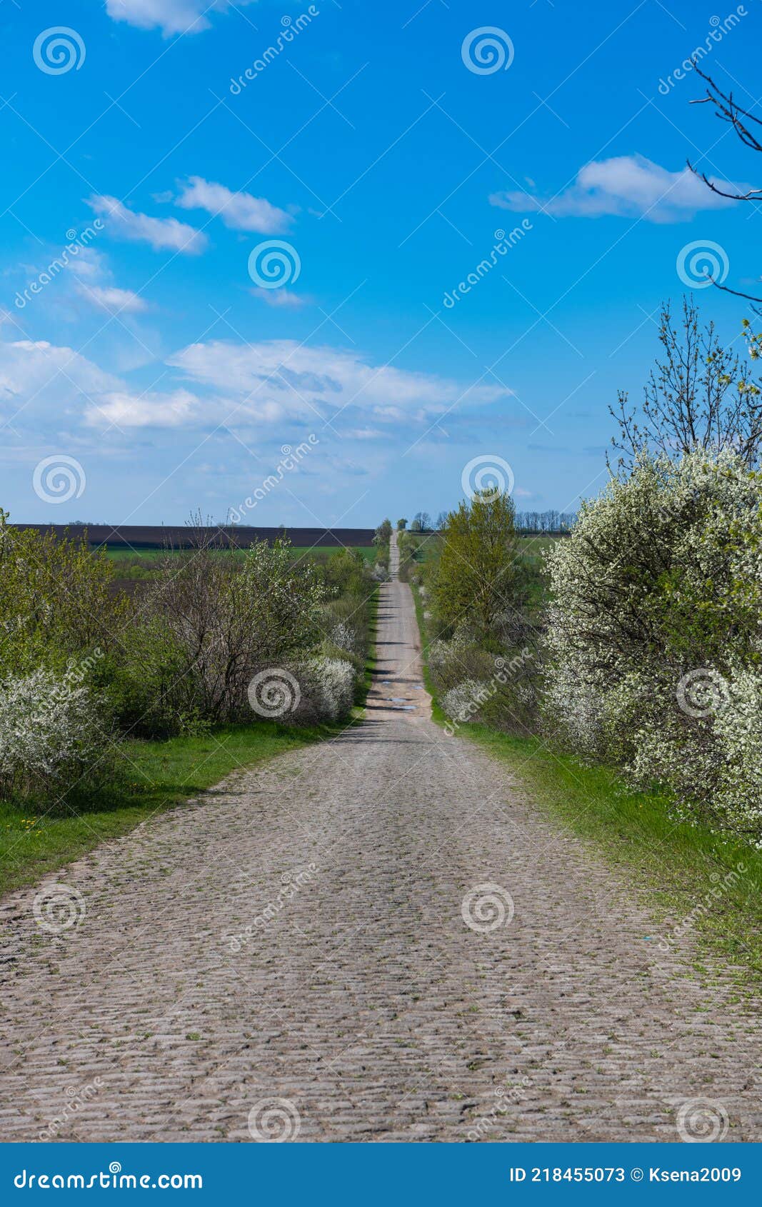 Paved rural road in spring stock image. Image of land - 218455073