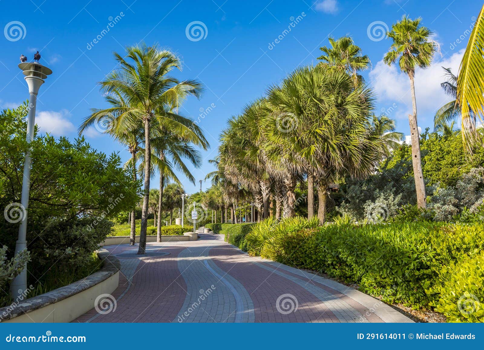 A Paved Sidewalk for Jogging and Cycling at the Miami Beach Boardwalk ...