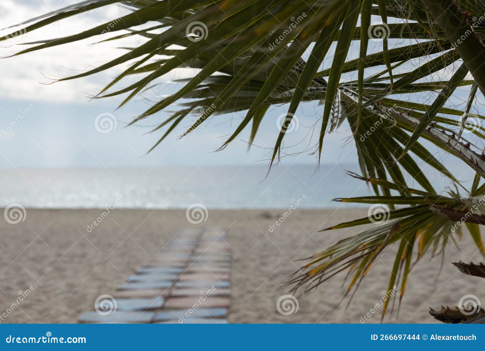 Paved Stone Path from the Beach To the Sea. Frame of Branches.sunset ...
