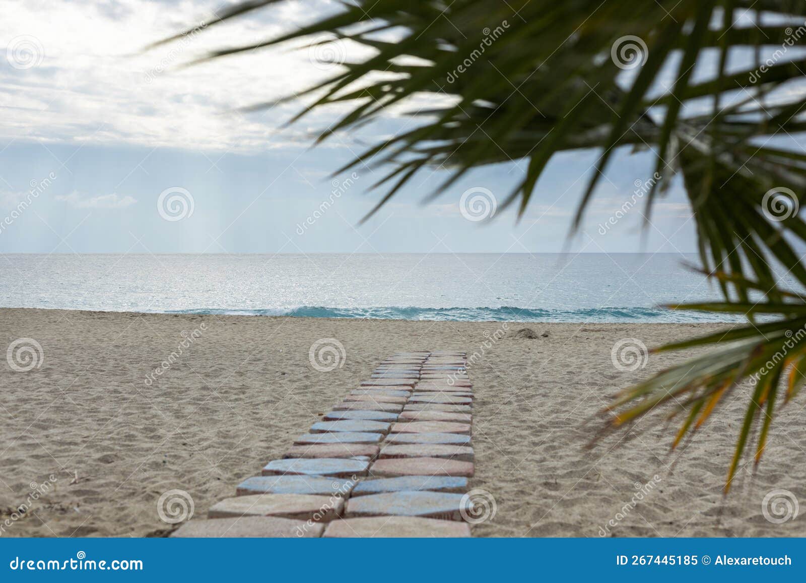 Paved Stone Path from the Beach To the Sea. Frame of Branches.sunset ...