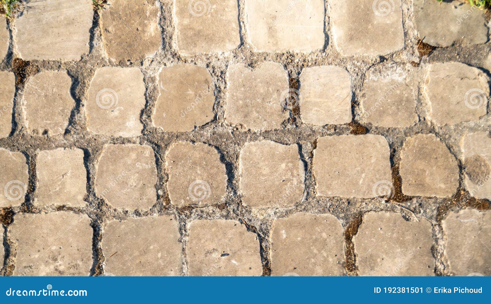 Paved stones on the ground stock image. Image of cobblestones - 192381501