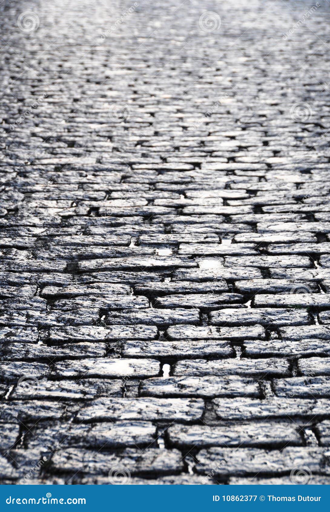 Paved street stock image. Image of cube, joined, normandy - 10862377
