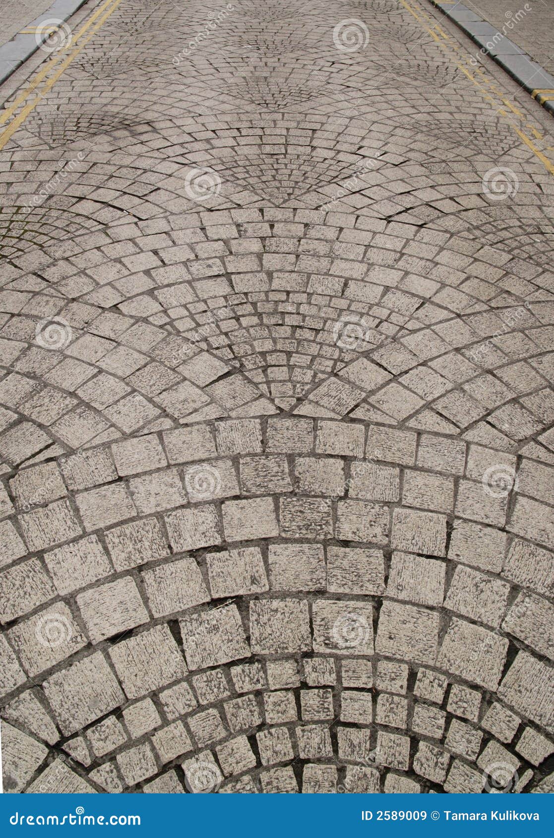Paved street stock image. Image of route, curb, paving - 2589009