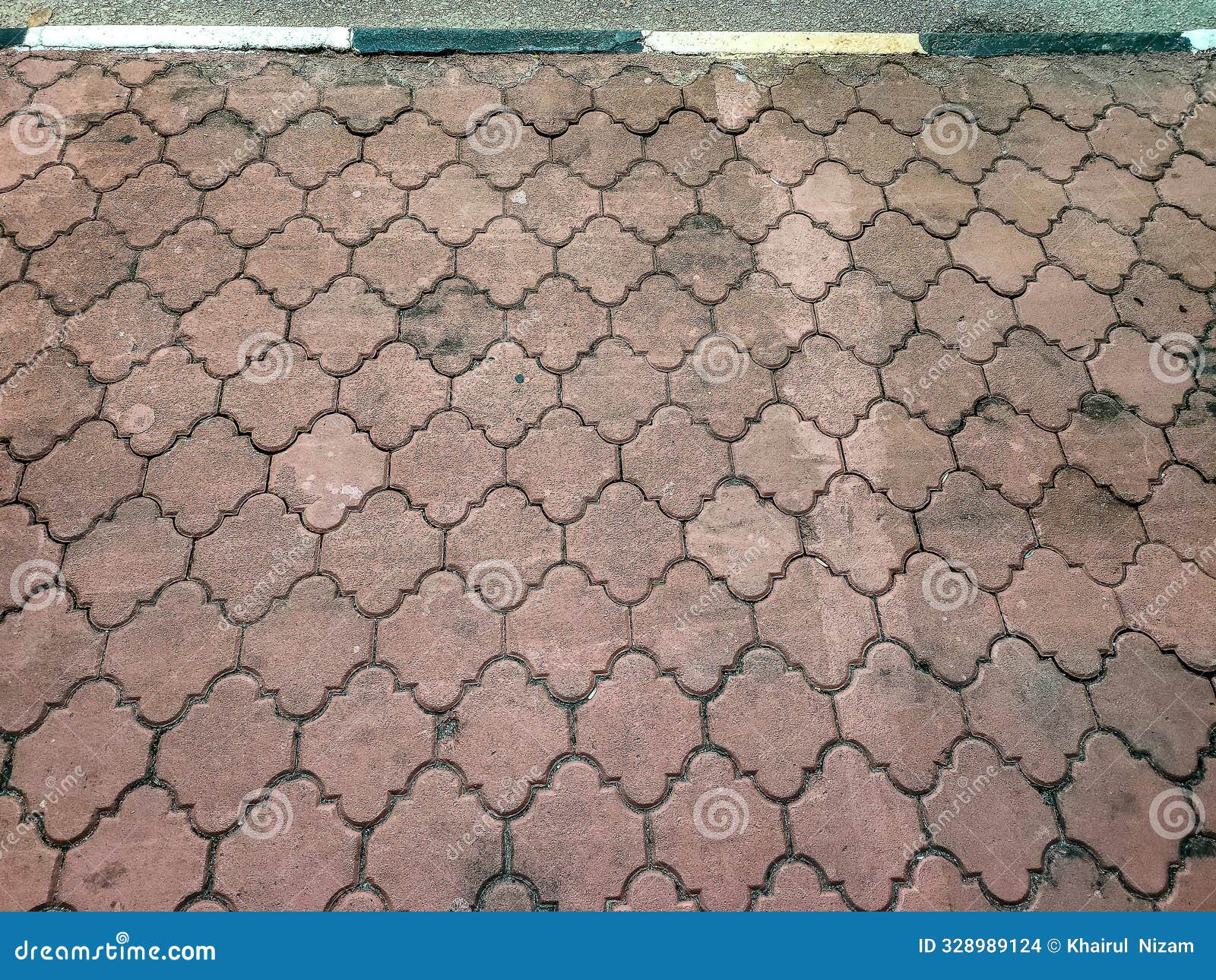 Paved with Tiles Texture and Pattern Path in the Park Paving Slabs on ...