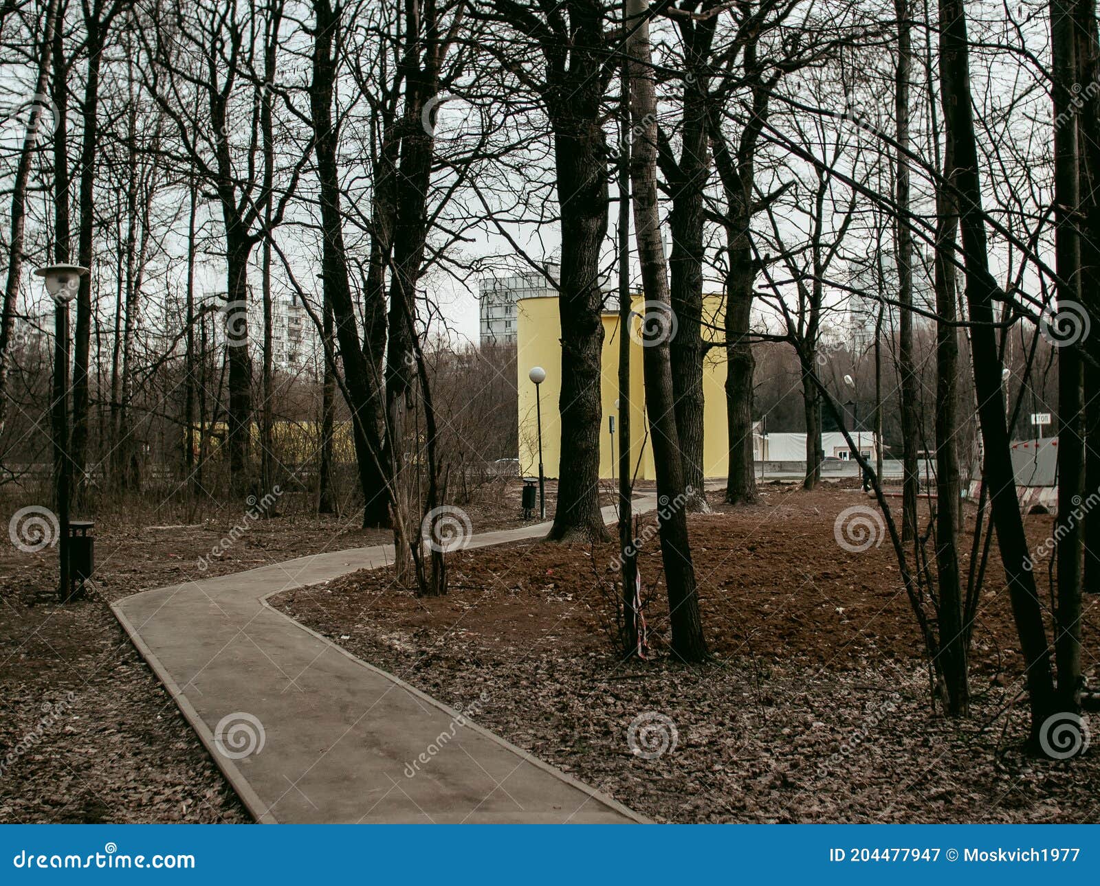 Paved Track in the Forest in Spring Stock Image - Image of alley ...