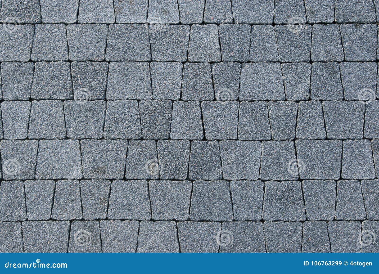 Paved Track of Gray Trapezoidal Brick Stock Image - Image of paved ...