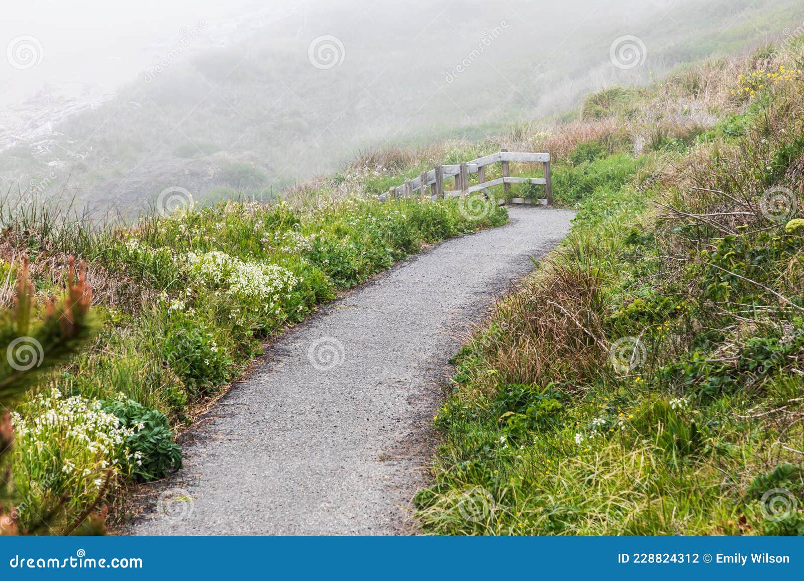 A Paved Walking Path on the Oregon Coast Stock Photo - Image of hiking ...