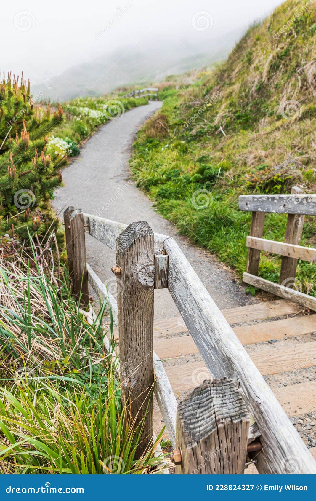 A Paved Walking Path on the Oregon Coast Stock Image - Image of ...
