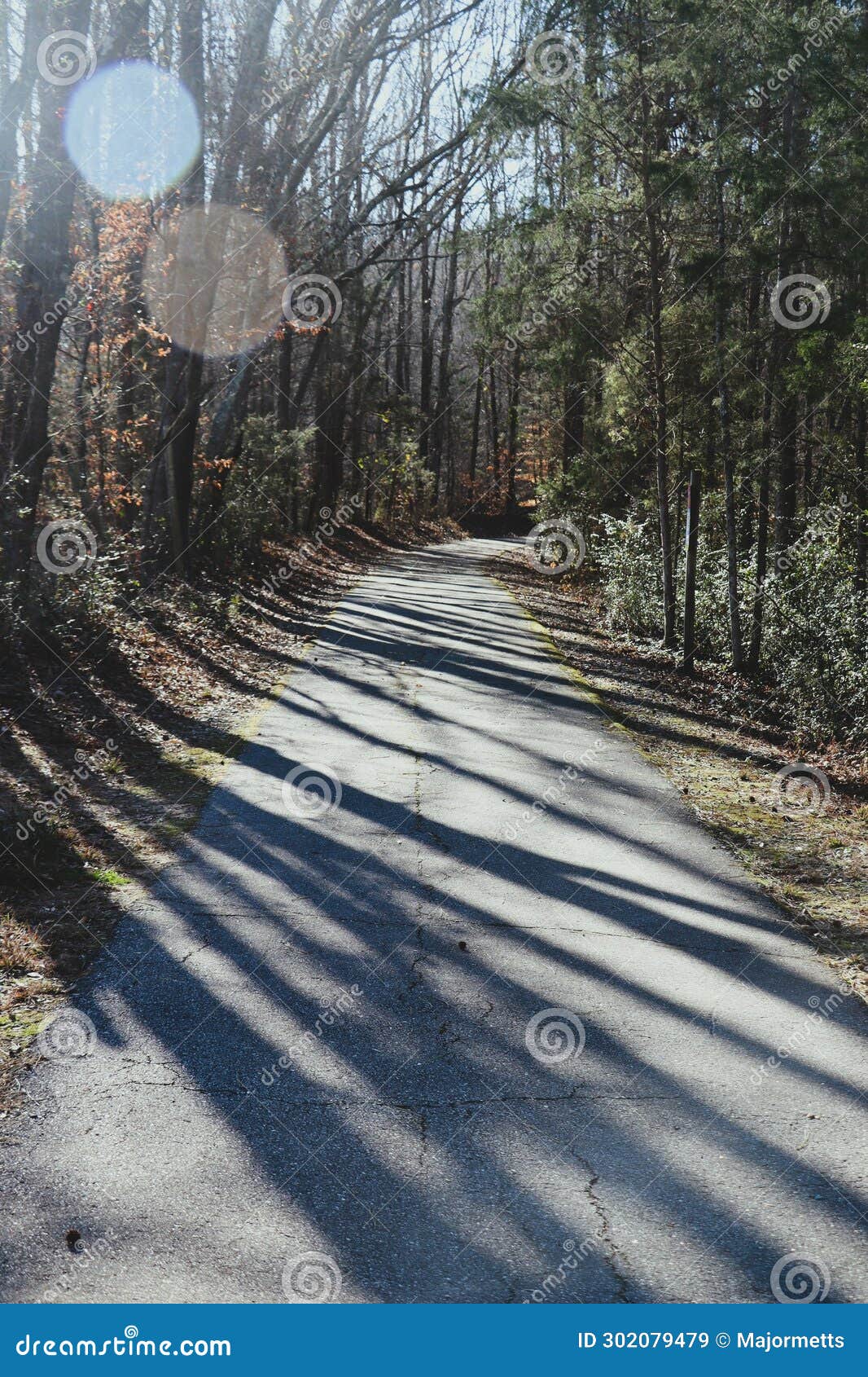 Paved Walking Trail Covered by Tree Shadows Stock Image - Image of ...