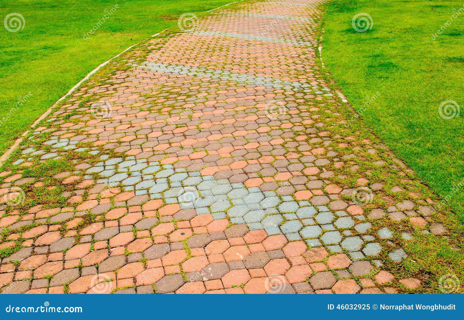 Paved walkway stock image. Image of green, grey, pavement - 46032925