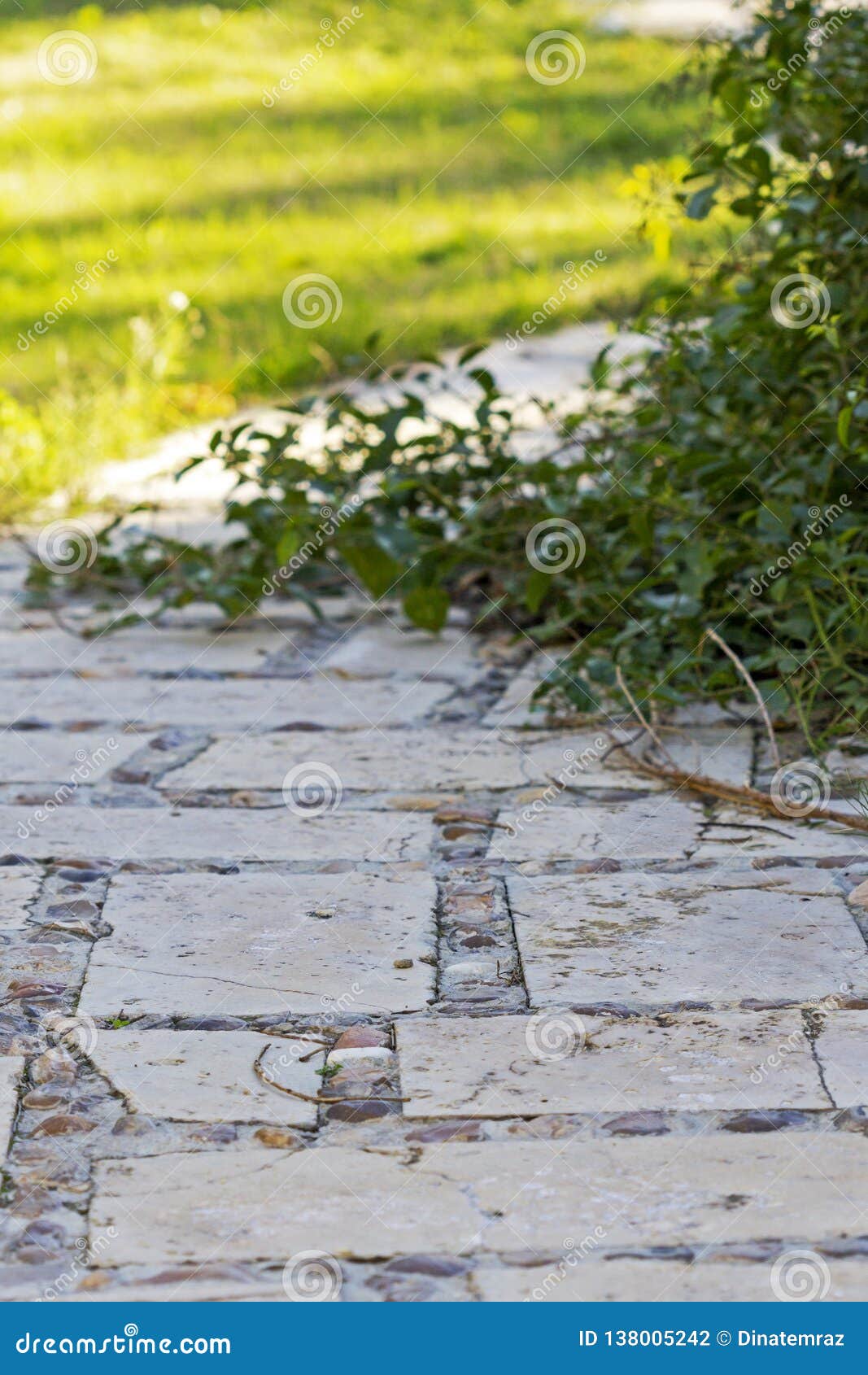 Paved way garden stock photo. Image of park, path, nature - 138005242