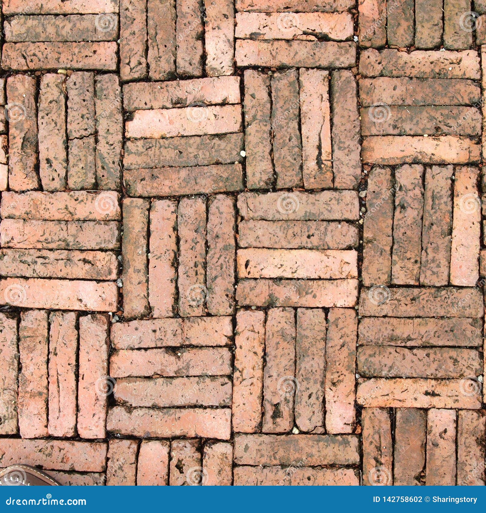 Pavement Background of Grey Cobble Stones Stock Photo - Image of road ...