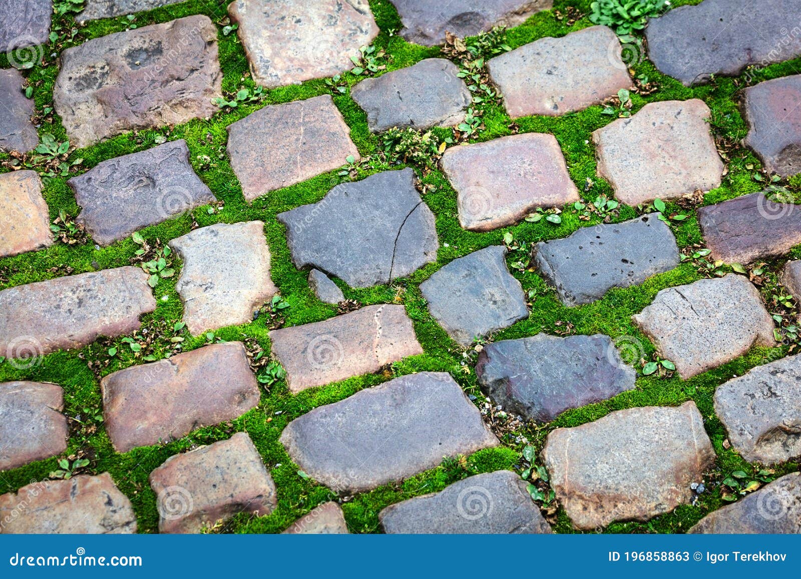 Pavement from Beautiful Pebbles As Background Stock Image - Image of ...