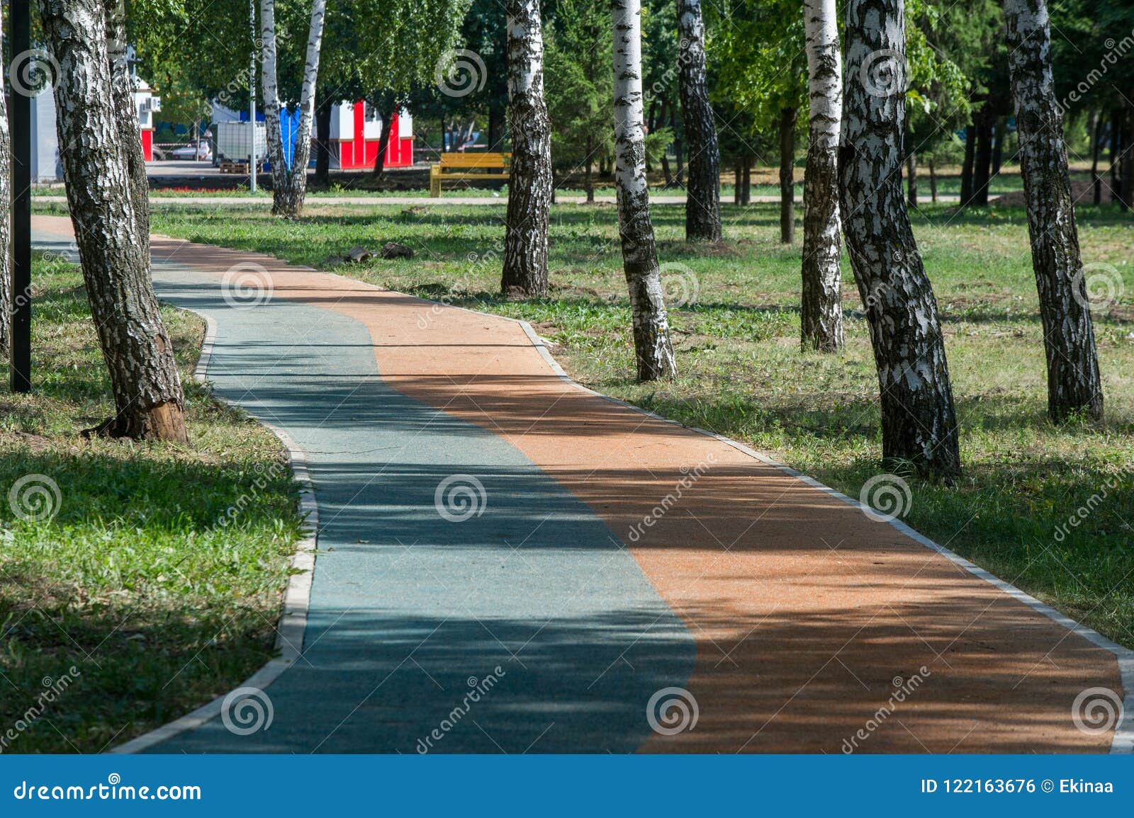 Pavement in the Birch Forest Stock Photo - Image of city, panels: 122163676