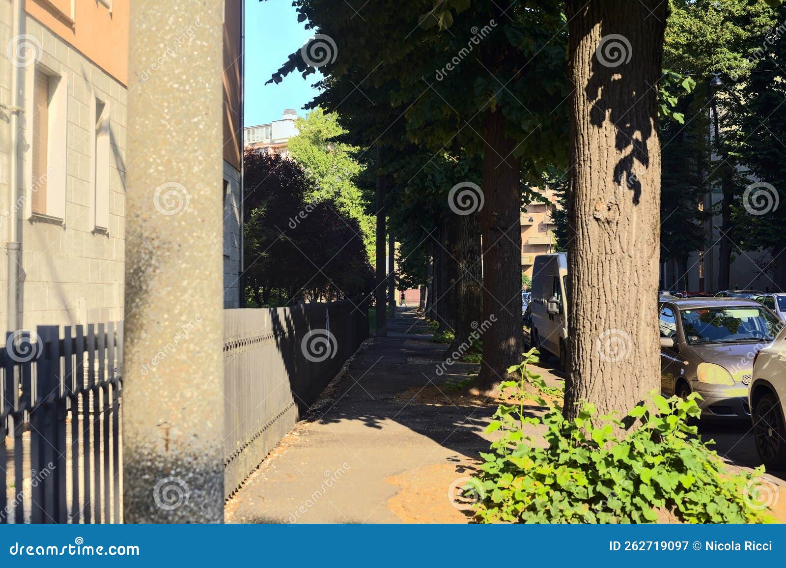 Pavement Bordered by Trees Next To Fences in a Residential Area Stock ...