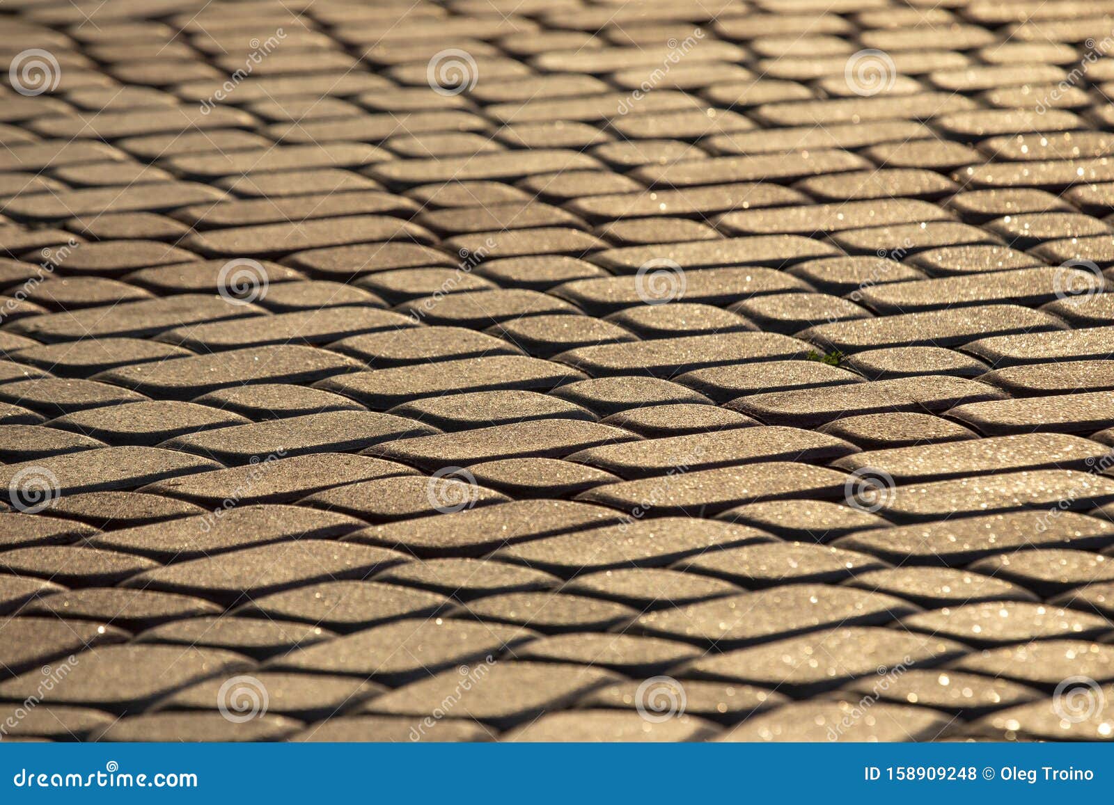 Pavement Close Up in the Sunlight Stock Photo - Image of rough, road ...