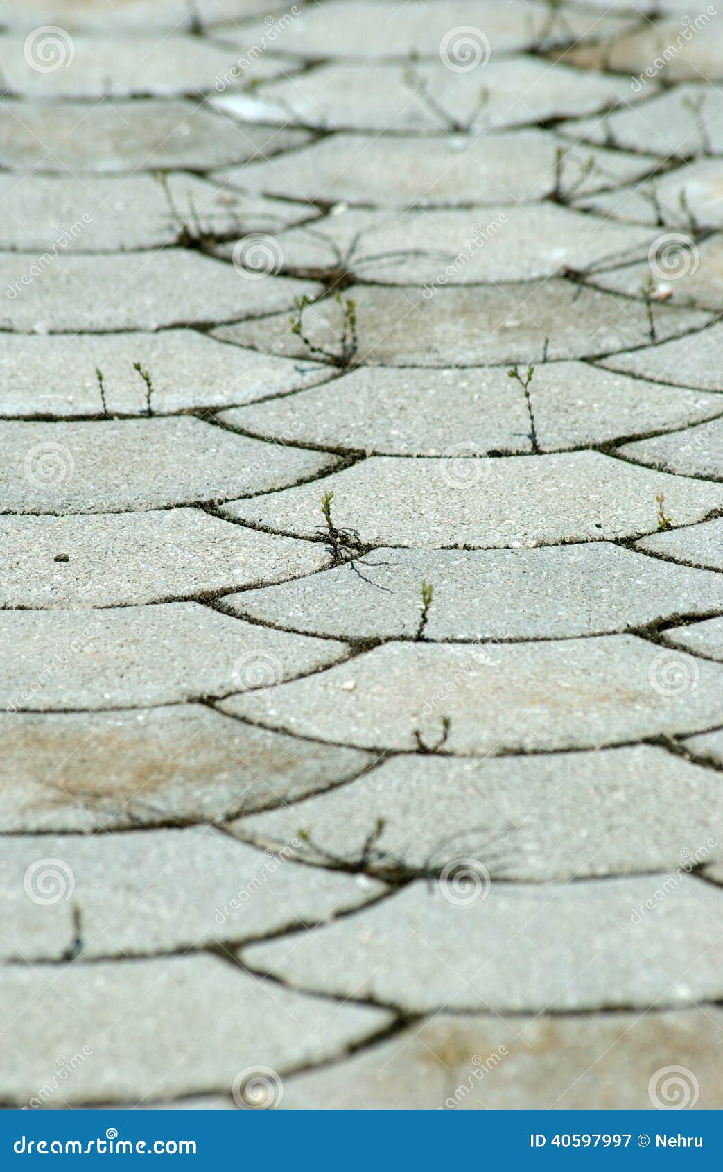 Pavement with Curved Elements Stock Image - Image of survivor, survide ...