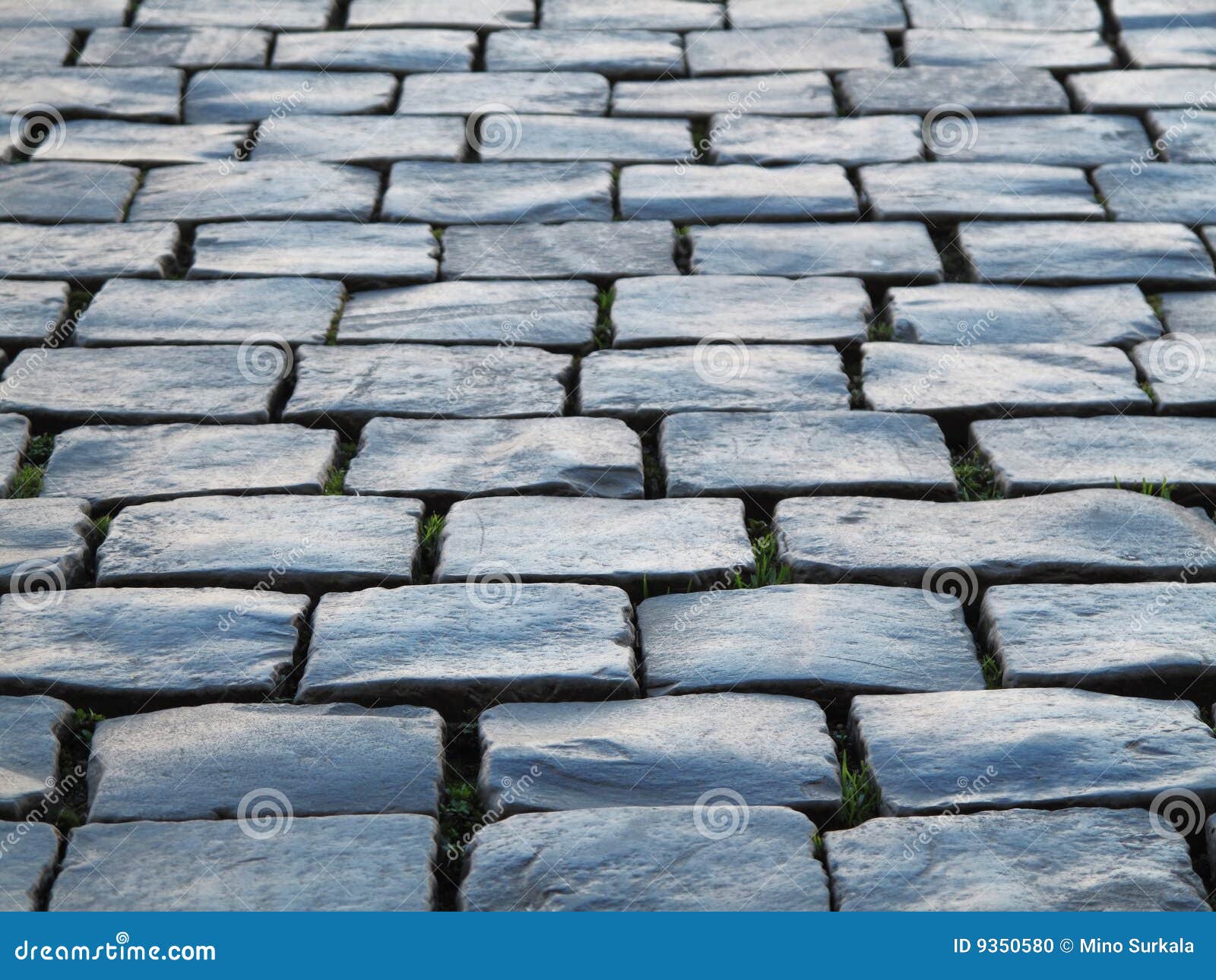 Pavement detail stock photo. Image of stone, pavement - 9350580